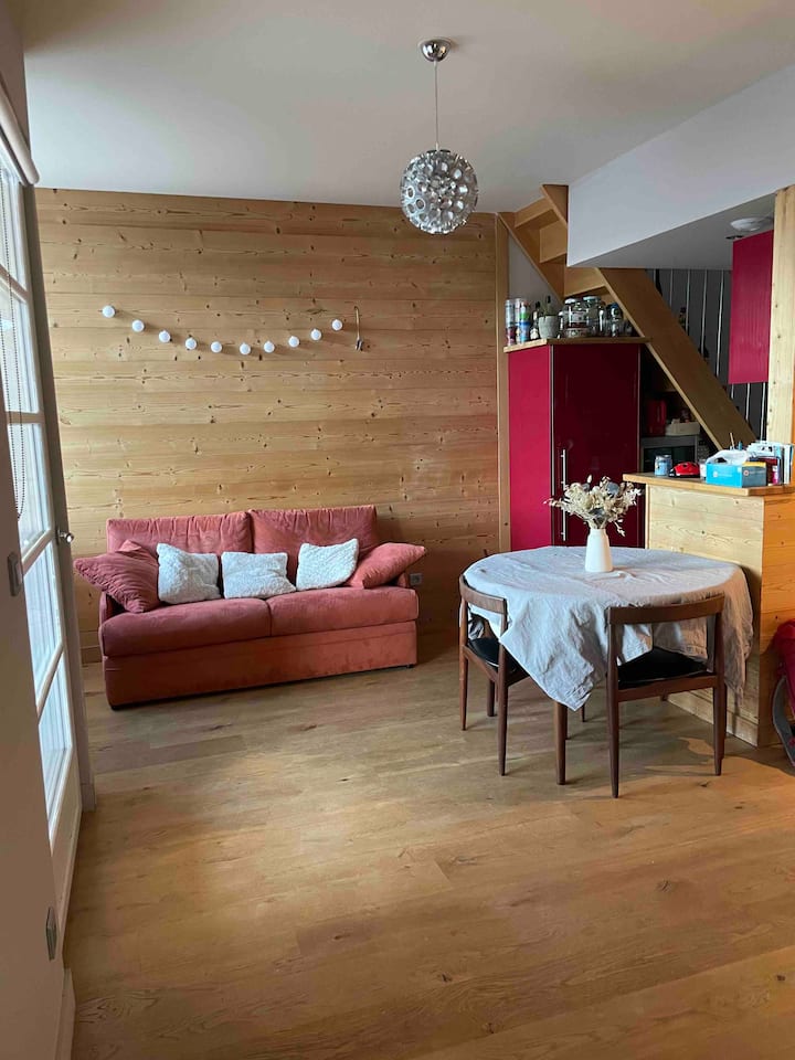 Appartement Avec Vue Mont-blanc - Passy