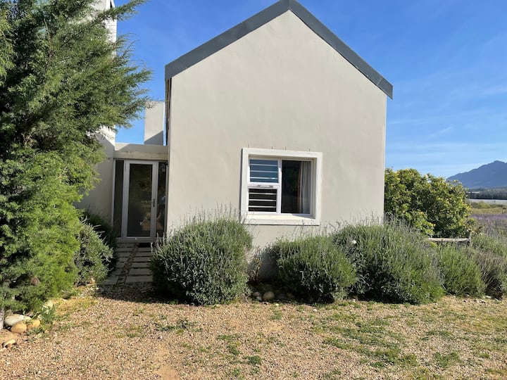 Lavender And Herb Garden - Ceres