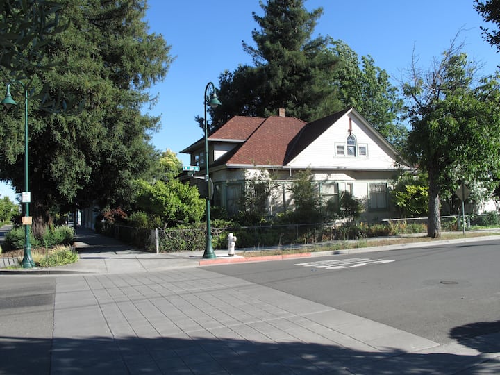 Redwoods In The Wine Country I - Cloverdale, CA