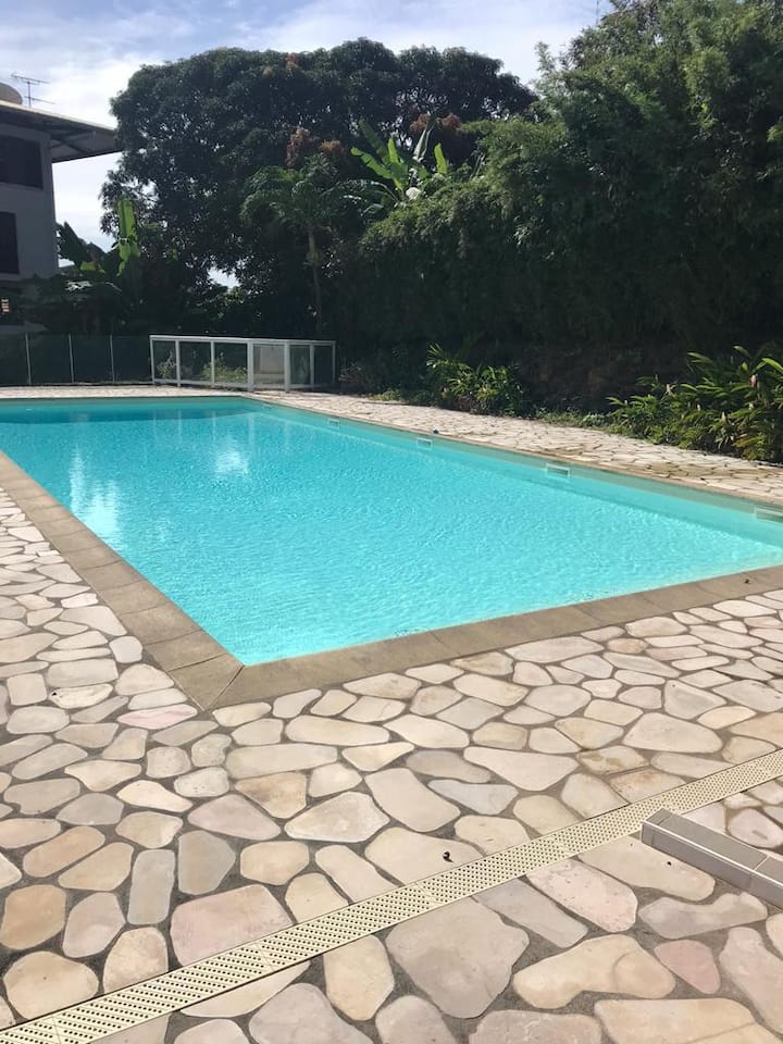 T2  Calme Piscine à Cayenne _baduel - Cayenne