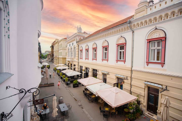 The Steiner Palace Flat With Spectacular View - Timișoara