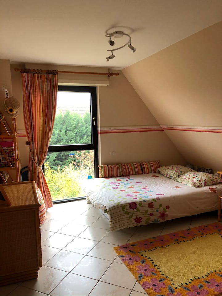 Le Charme D’une Grande Maison à La Campagne - Sélestat