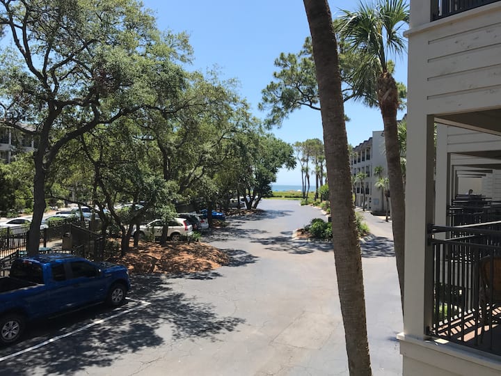 Feeling Tip Sea | Ocean View, Pool, Fast Wifi - Black Duck Place, SC