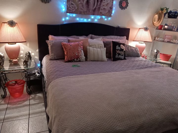 Cozy Conveniently Near Clearwater Beach And Dining - 達尼丁