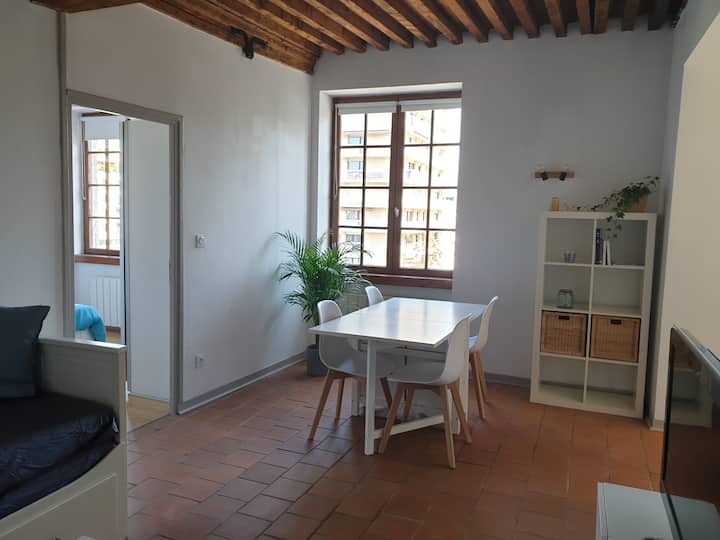 Appartement Cosy Et Lumineux En Centre Ville - Saint-Étienne
