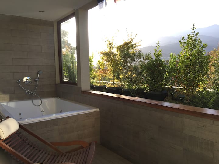 Exclusive Duplex Penthouse - Santiago (Chile)