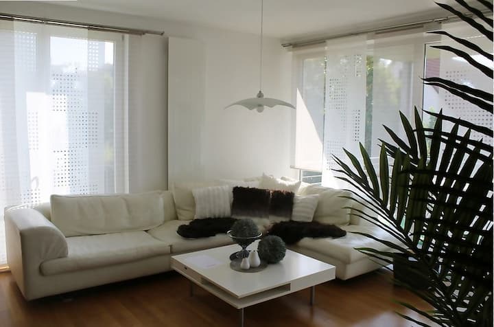 100qm Im Herzen Von Regensburg - Ratisbonne