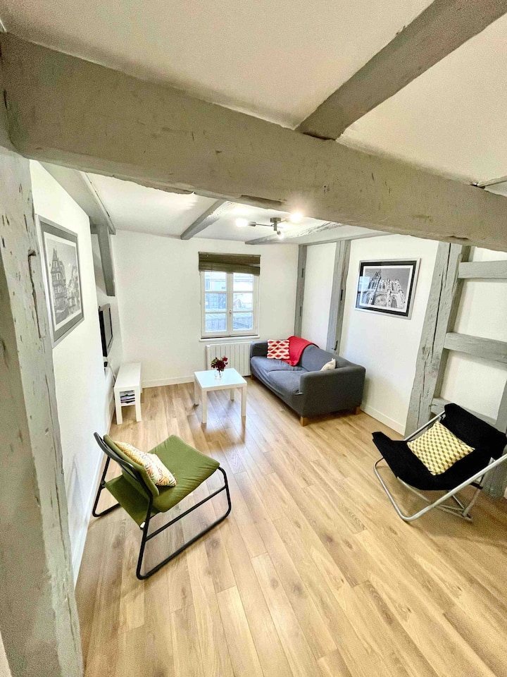 Strasbourg Magnifique Appartement Petite France - Strasbourg