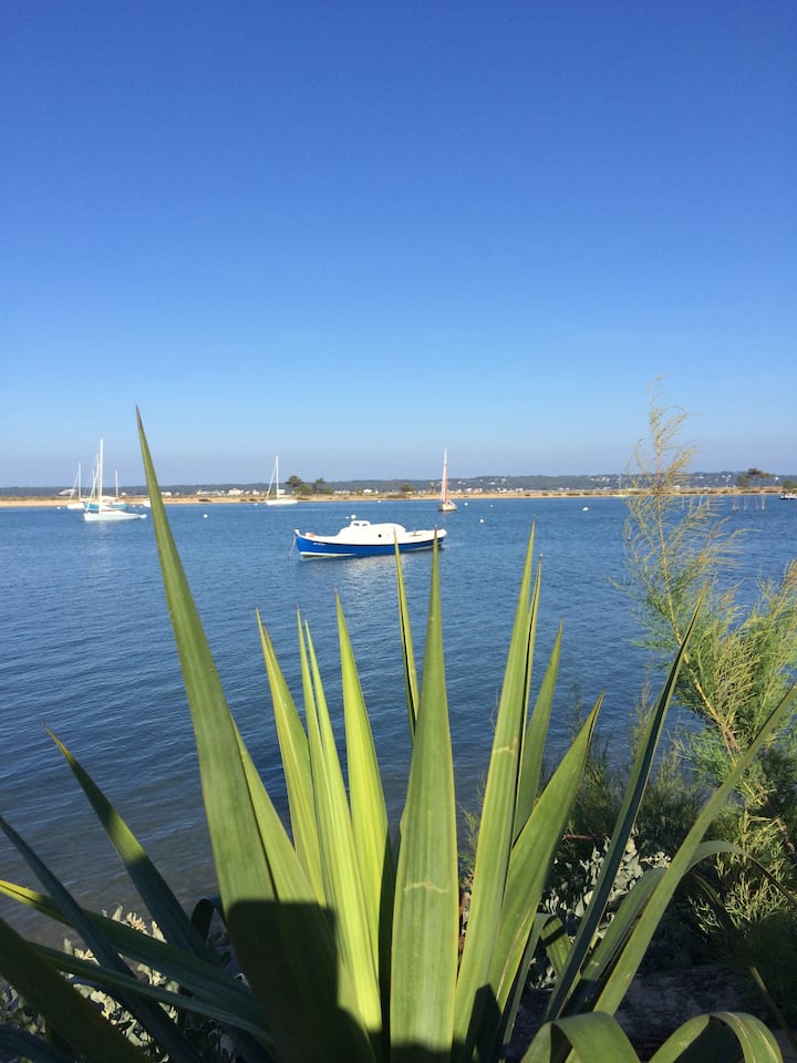 Charmant Appartement Cap Ferret - Cap Ferret
