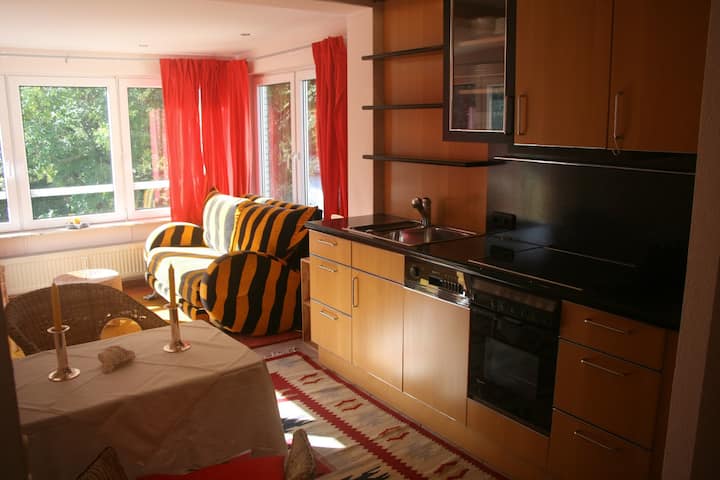 Attic Floor Appartment In Old Villa - Stapelfeld