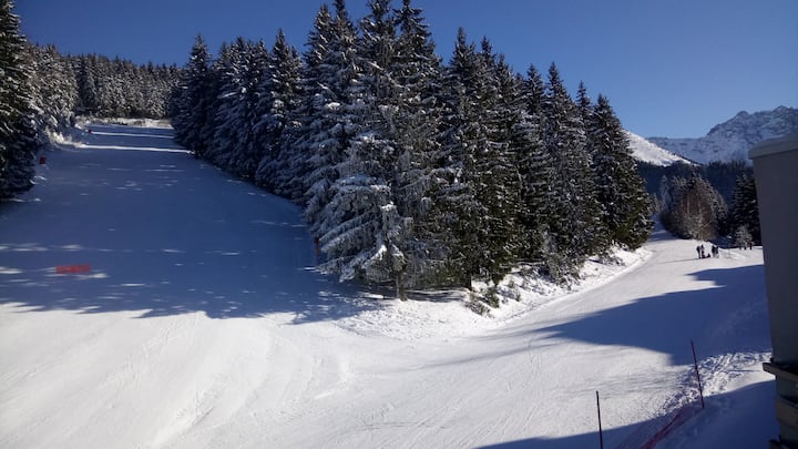Appt Les Cabris 1  -  à Prapoutel Les 7 Laux - Les Adrets