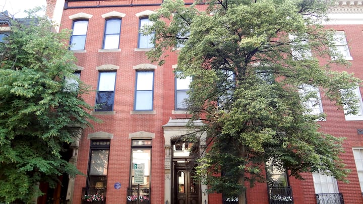 Gorgeous Newly Renovated Light Filled Apt - Baltimore
