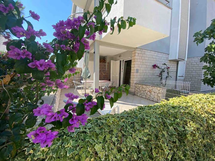 App Lucija - Novalja