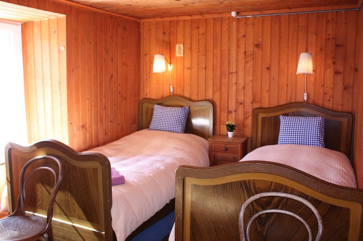 Edelweiss Twin Room  - Peaceful Mountain Pension - Zermatt