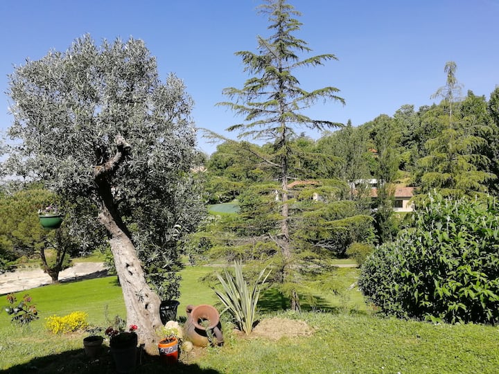 Petit Havre De Paix Aux Portes De Toulouse (T5) - Labège
