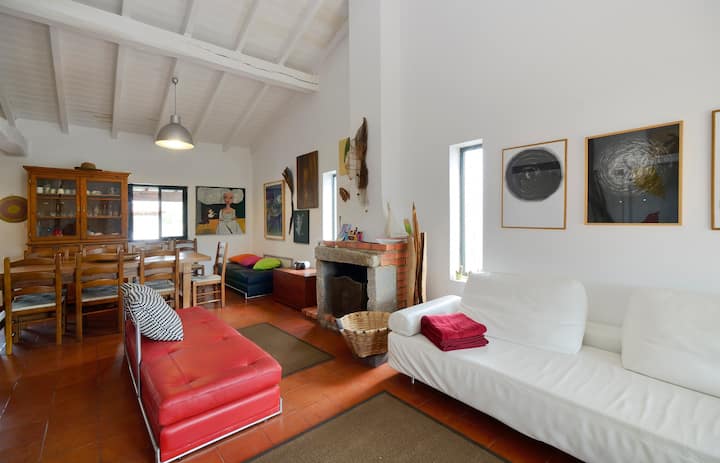 Casa Do Torrão Do Lameiro - Ovar