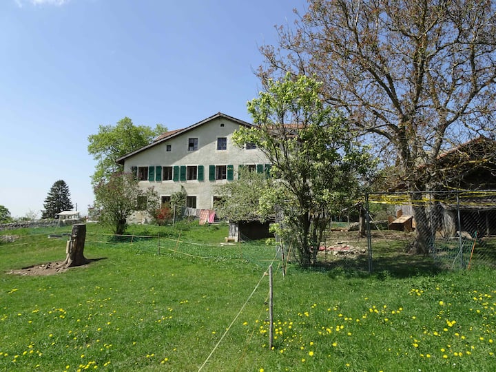 La Ferme Des Plânes - La Chaux-de-Fonds