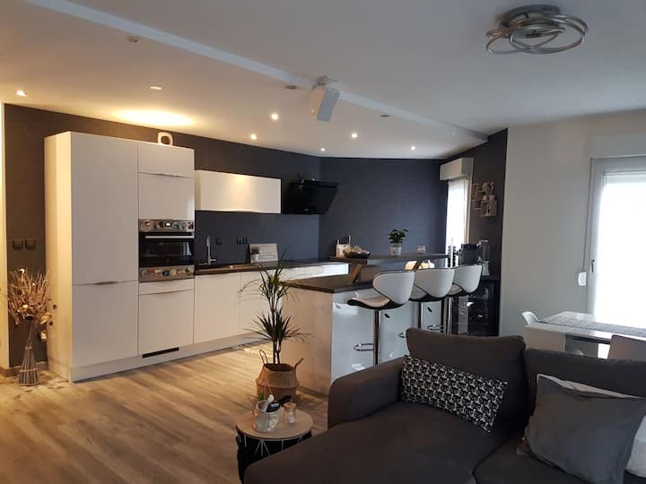 Magnifique Appartement,3 Chambres Tout éQuipé 95m2 - 디종