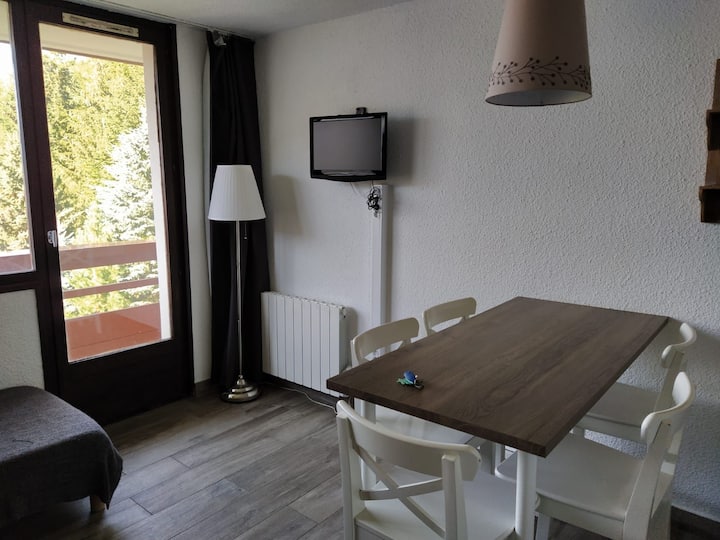 Studio Aux Pieds Des Pistes - Les Menuires
