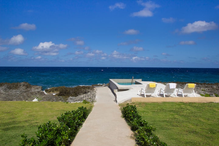 Beautiful Korall Revet - Jamaïque