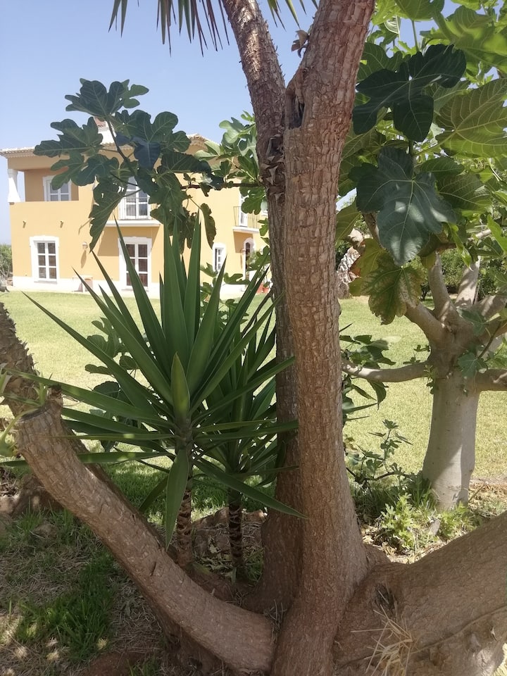 Aluga-se Casa Ao Ano - Faro District