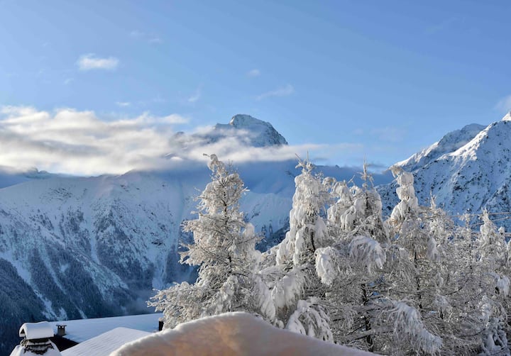 Les 2 Alpes Apartment,  Stunning View ! - Auris