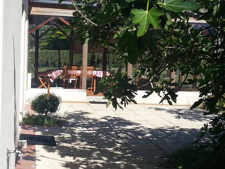 Séjour Détente Dans Une Maison De Bord De Mer /8 - Kerlouan