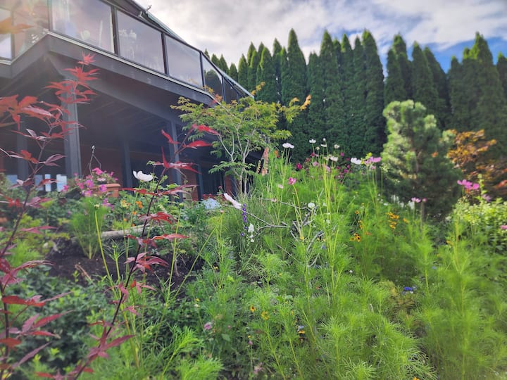 Amongst The Cherry Trees And Modern Nature. - Kelowna