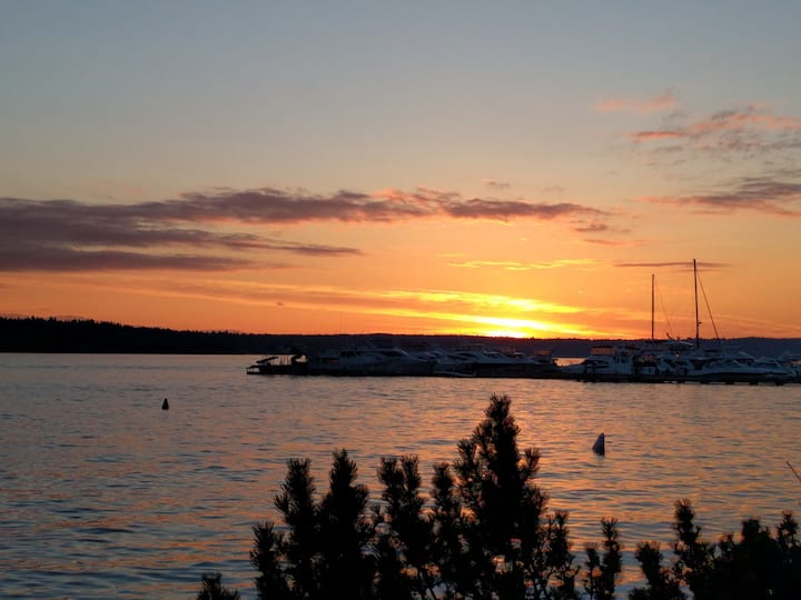 Modern Downtown Kirkland 1br/1ba Apartment - Kirkland