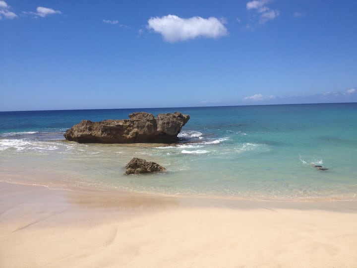 Quiet Tropical 1st Floor Condo - Hawaï