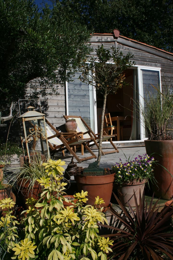 Charmant Chalet Lodge Climatisé Avecgrande Piscine - Biganos