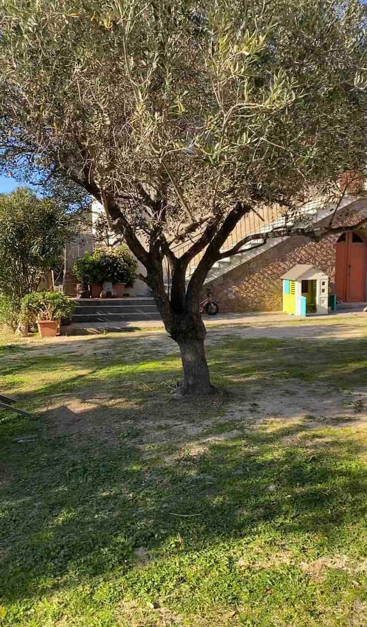 1re éTage Dans Maison De Famille - Calvi