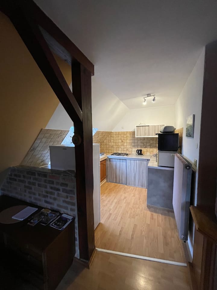 Sympathique Appartement - Colmar