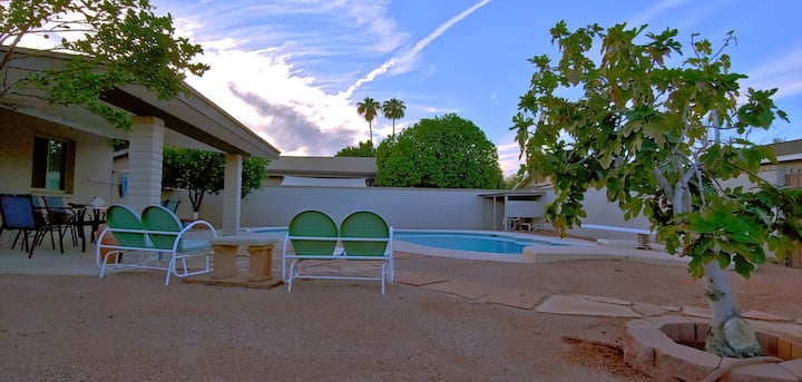 House/back Yard/ In Striking Location/tempe's Best - Tempe, AZ