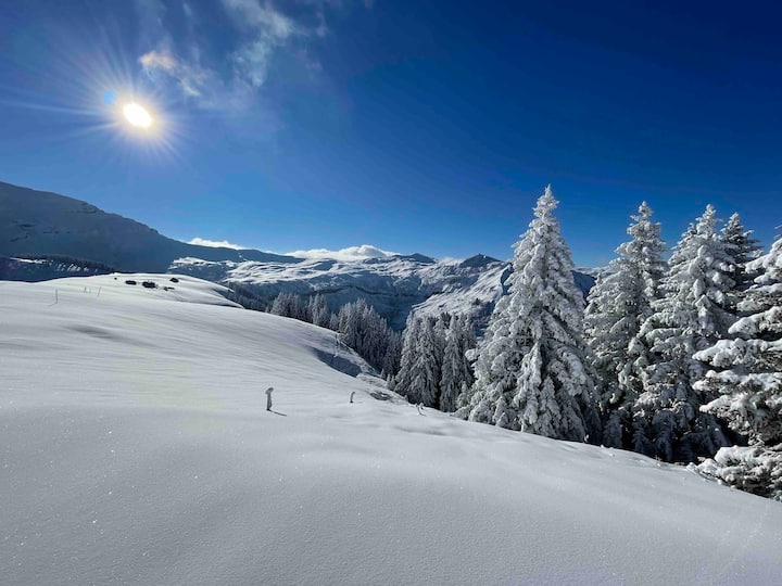 Megeve Au Mont D Arbois / T2 A 200m Des Remontées - Megève