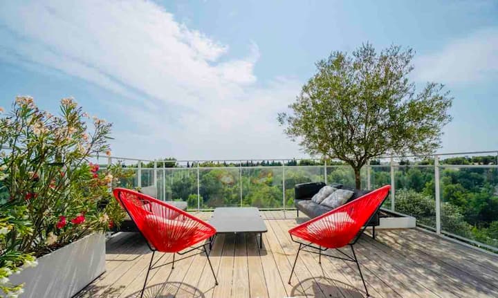 Castelnau Le Lez : Superbe Appartement Terrasse - Castelnau-le-Lez