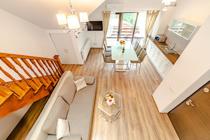 Apartament Familial Cu Vedere La Munte Y2 - Sinaia