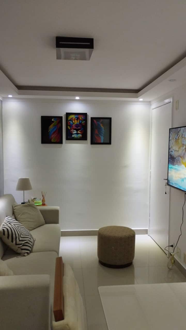 Apartamento Aconchegante - São Carlos