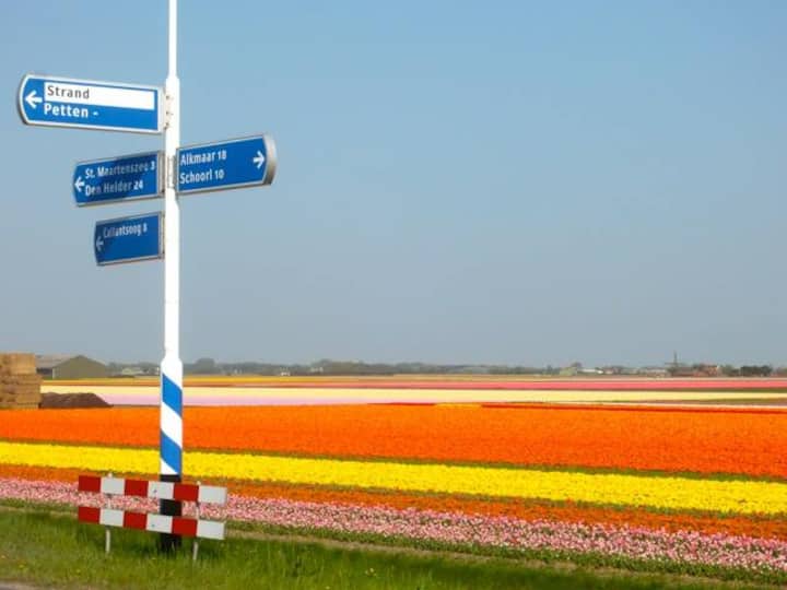 Cosy Wooden House Near Dunes And Village. - Schoorl