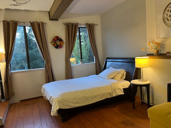 Tree View Sunlit Studio - Oakland, CA