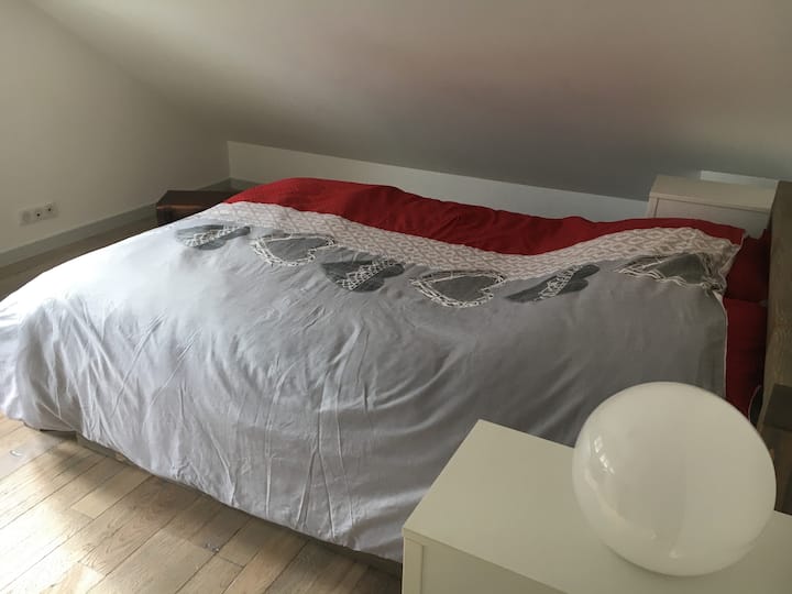 Appartement Coquet Dans Maison, Idéalement Situé. - Annecy