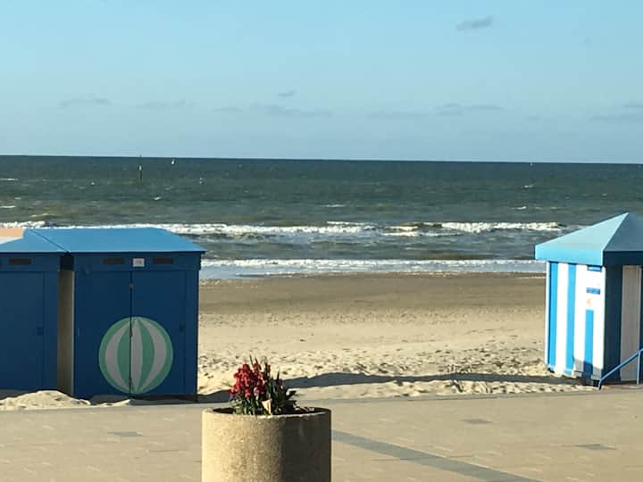 Beau Rez-de-chaussée
Face Mer - Dunkerque
