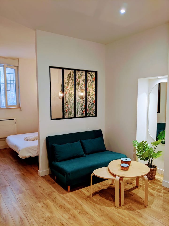 Villeurbanne-lyon Part-dieu : Appartement Cosy - Villeurbanne