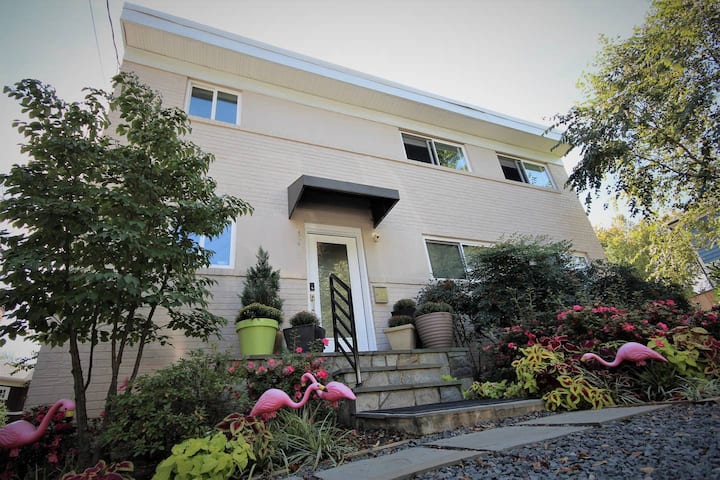 Mid Century Mod Ii - Host W/ Many Positive Reviews - Arlington, VA