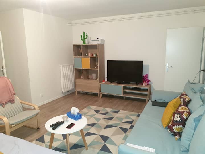 Entire Flat To Enjoy While Away - Saint-Genis-Pouilly