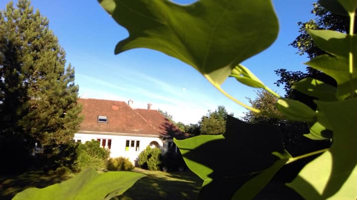 Appartement 4 P. Dans Maison Au Cadre Verdoyant - Sélestat