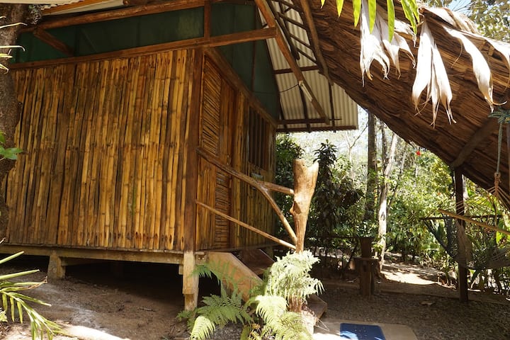 Top 10 Huts In Costa Rica: Discover Nature At Its Finest - | Trip101