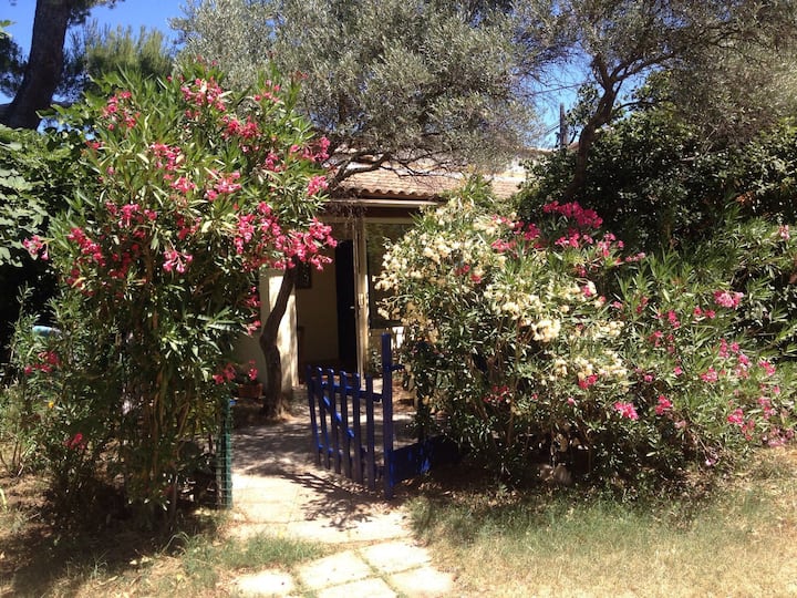 Logement Indépendant Sur Les Hauteurs D'avignon - Villeneuve-lès-Avignon