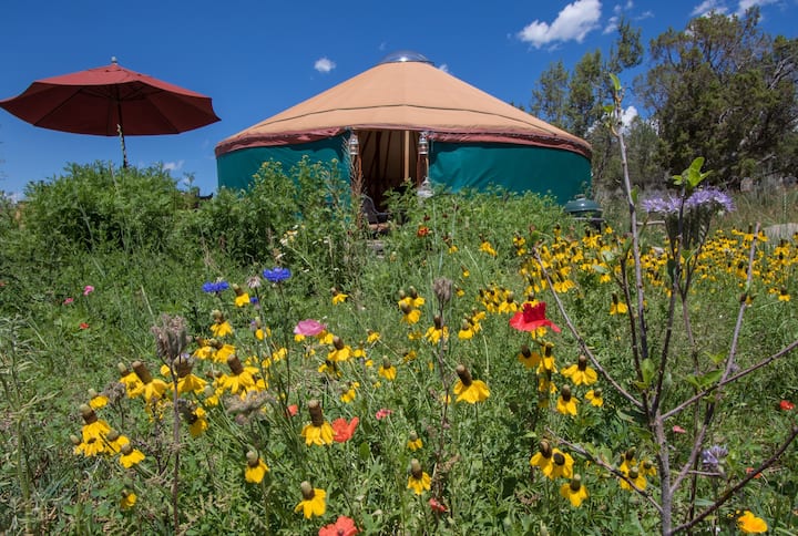 Dreamy Yurt “1 Of 23 Best Glamping Spots In U.s” - Carbondale, CO