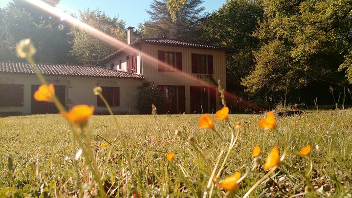 Airial De Pernaud : Un Séjour Au Cœur De La Forêt - Mios